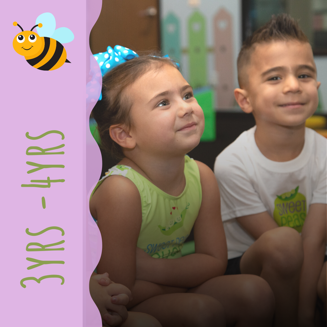 AGA Northwest Programs Descriptions | Classes & Team